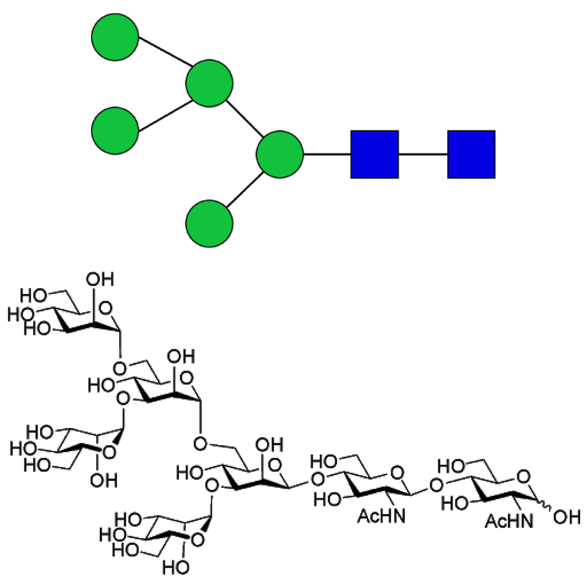 Man5 – Chemitope Glycopeptide