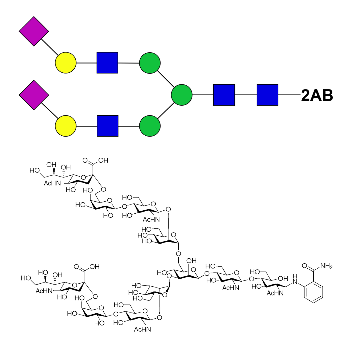 2,6-sialylated complex-type glycan-2AB – Chemitope Glycopeptide