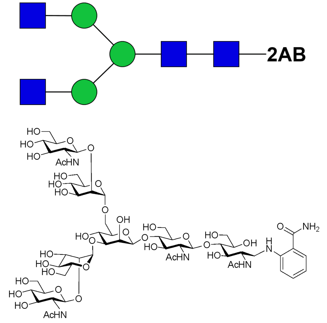 Asialo, agalacto complex-type glycan-2AB – Chemitope Glycopeptide