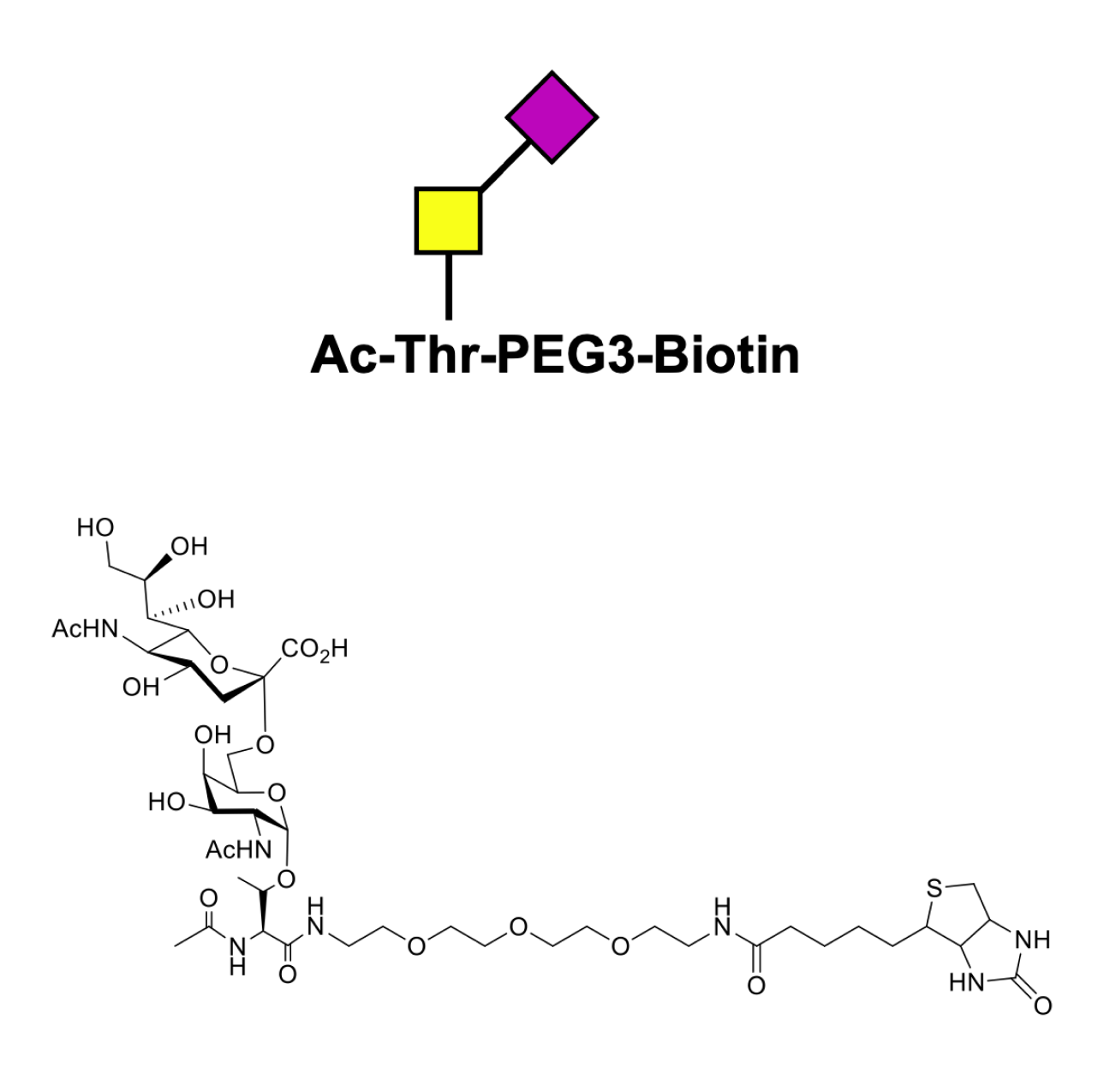 Thr(STn) antigen-biotin – Chemitope Glycopeptide