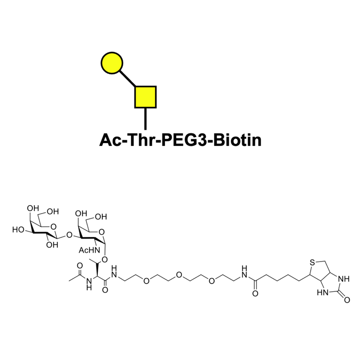 Thr(TF) antigen-biotin – Chemitope Glycopeptide